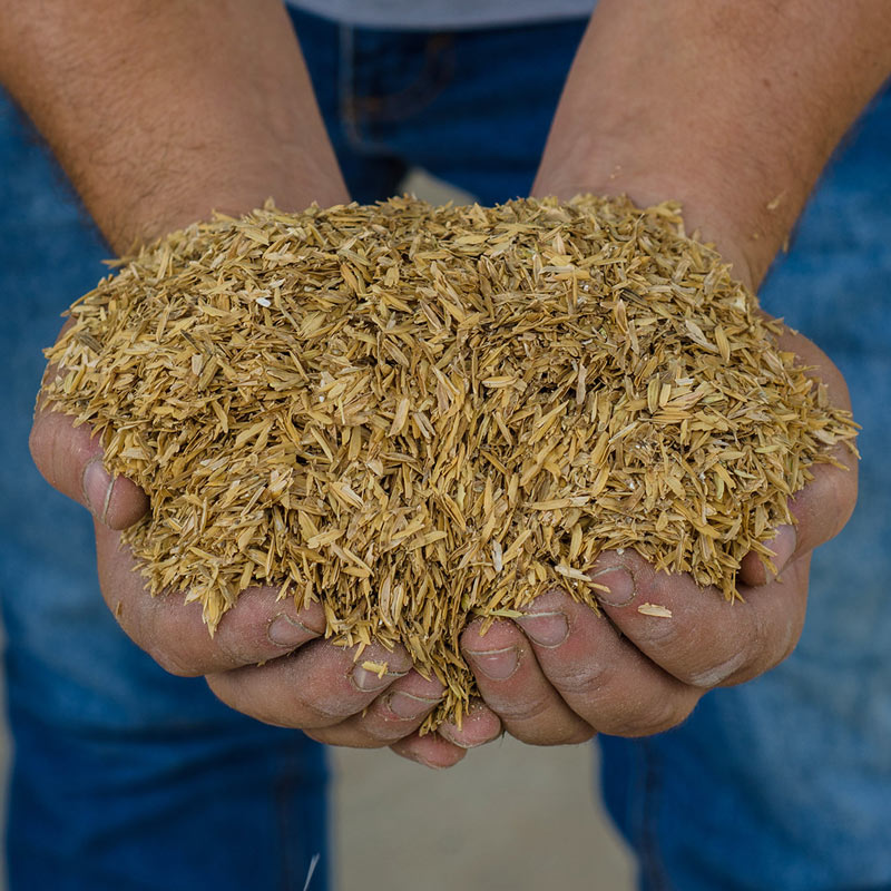 Residuos De Casca De Arroz Substratos